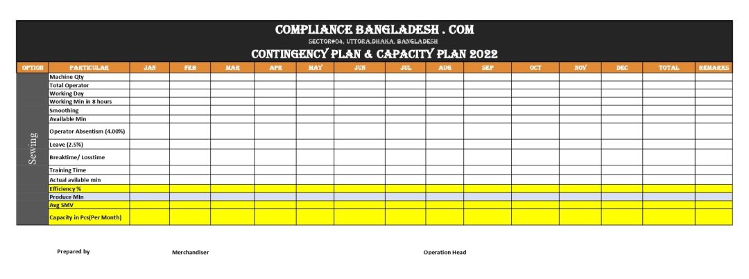 Capacity Plan formate download